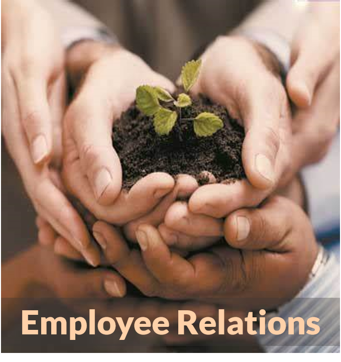 HR Employee Relations - Wireframe / Employee Relations Home